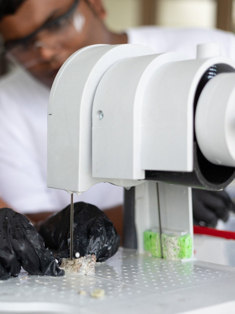 Coral Reef Ecology — MUI By Six Senses Laamu