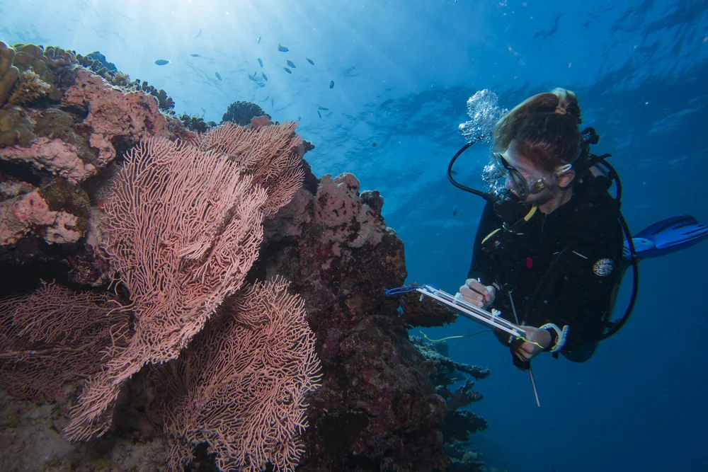 About MUI — MUI By Six Senses Laamu