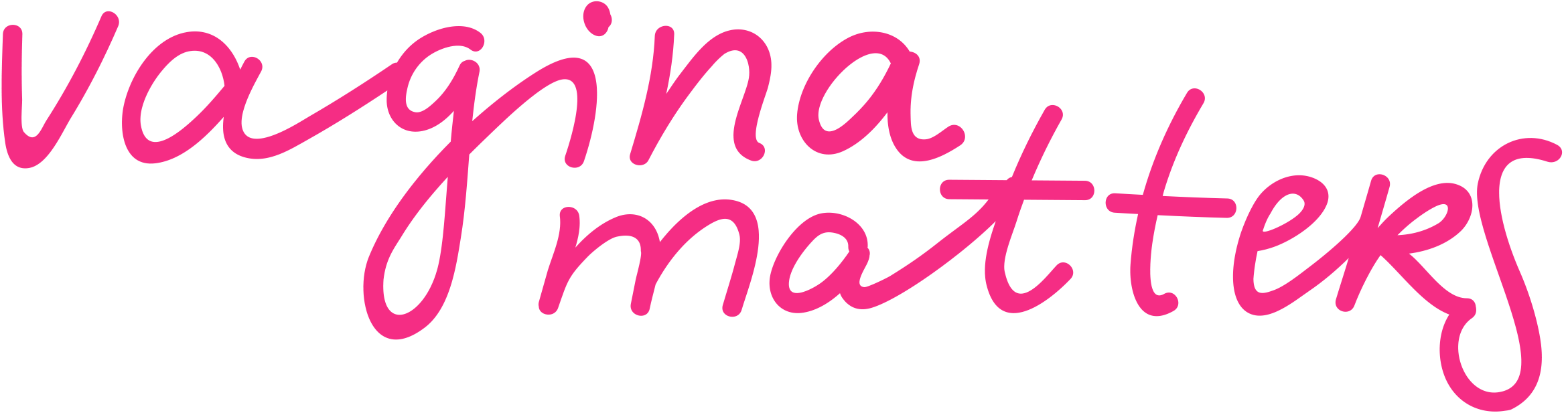 Vagina Matters