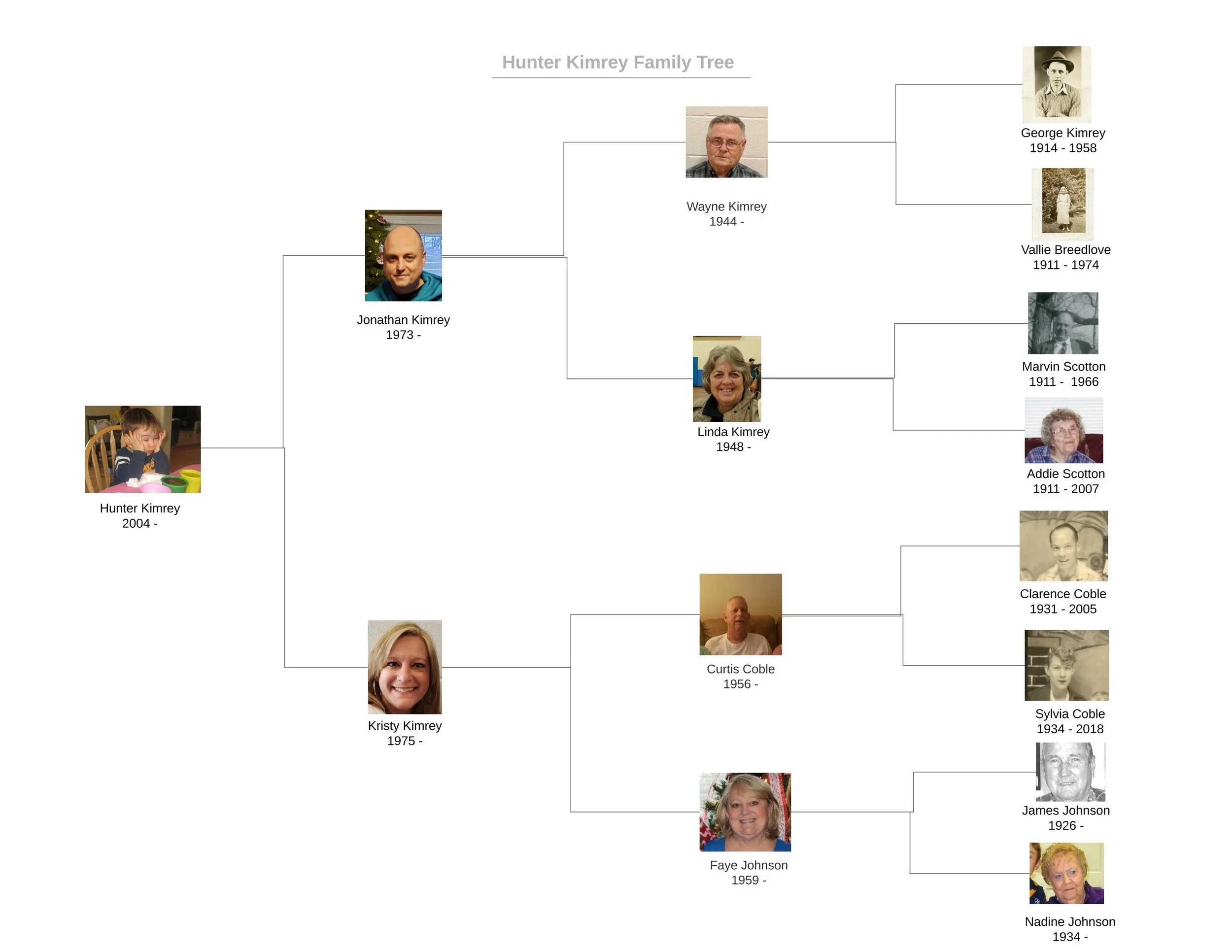 Hunter X Hunter Family Tree at Anita Sosebee blog