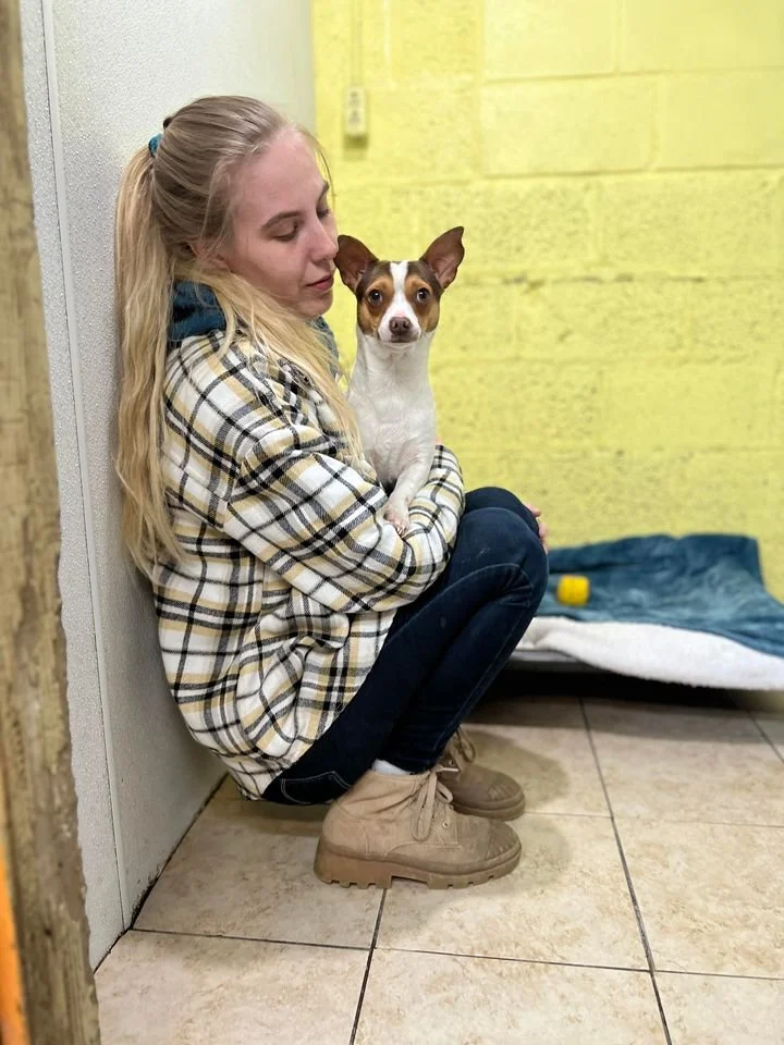 Pets Stop Here Rescue - Available Dogs - Rochester NY — Pets Stop Here ...