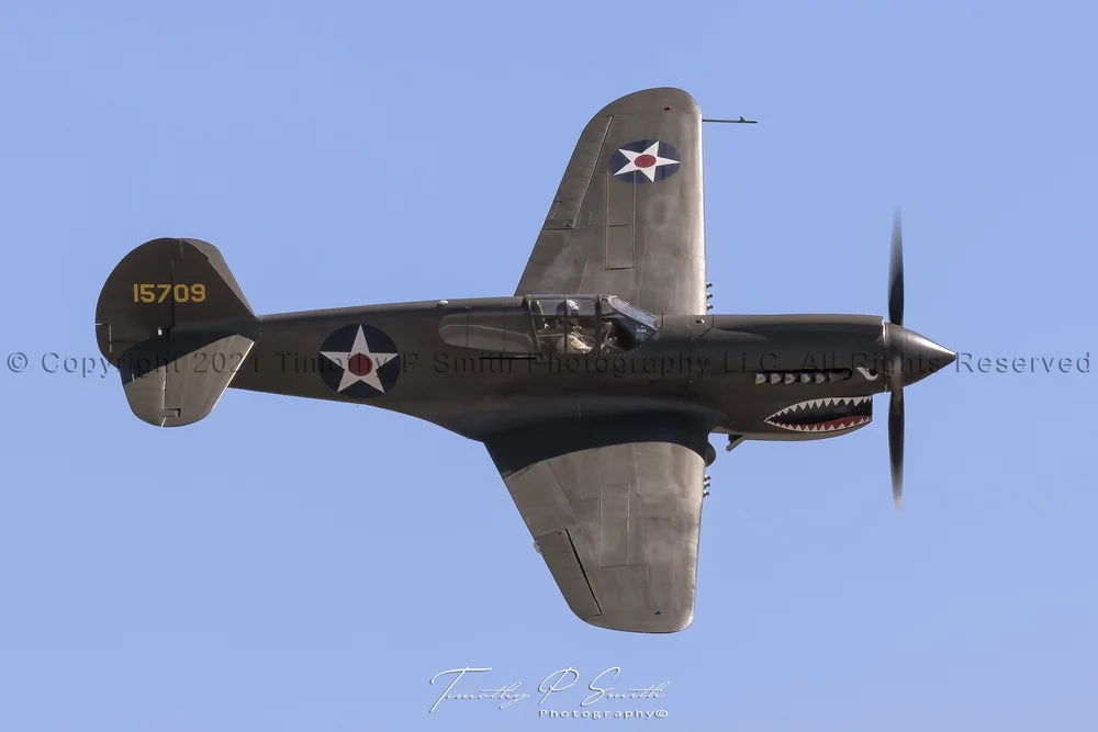 Warbirds — World War II Fighters | Aviation Photography