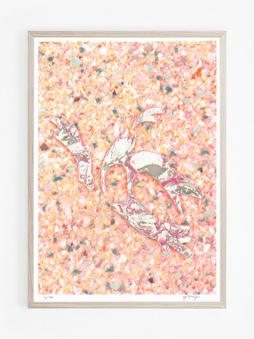 Bea Bonafini — Ellipsis Prints