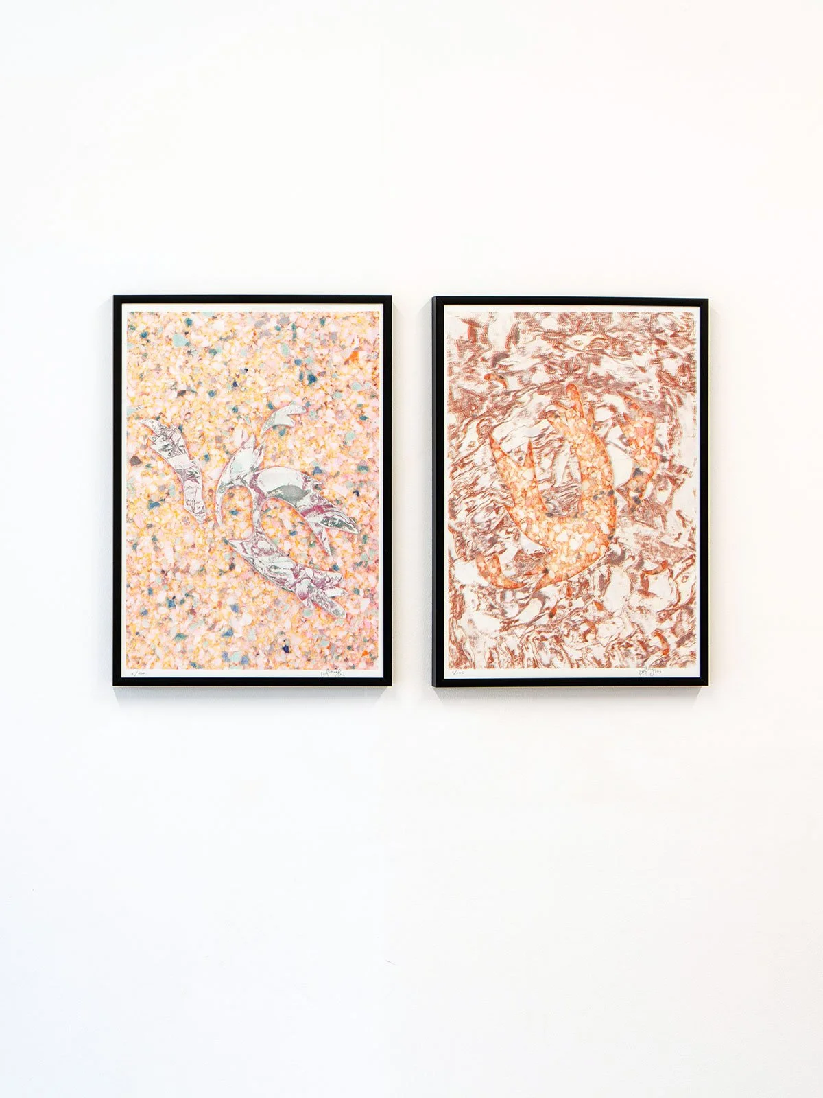 Bea Bonafini — Ellipsis Prints