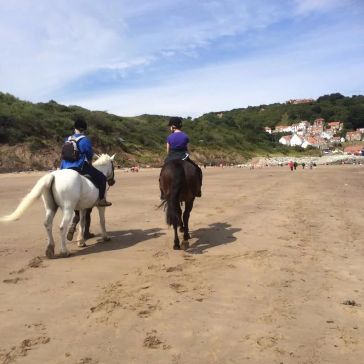 Rides — Borrowby Equestrian Centre