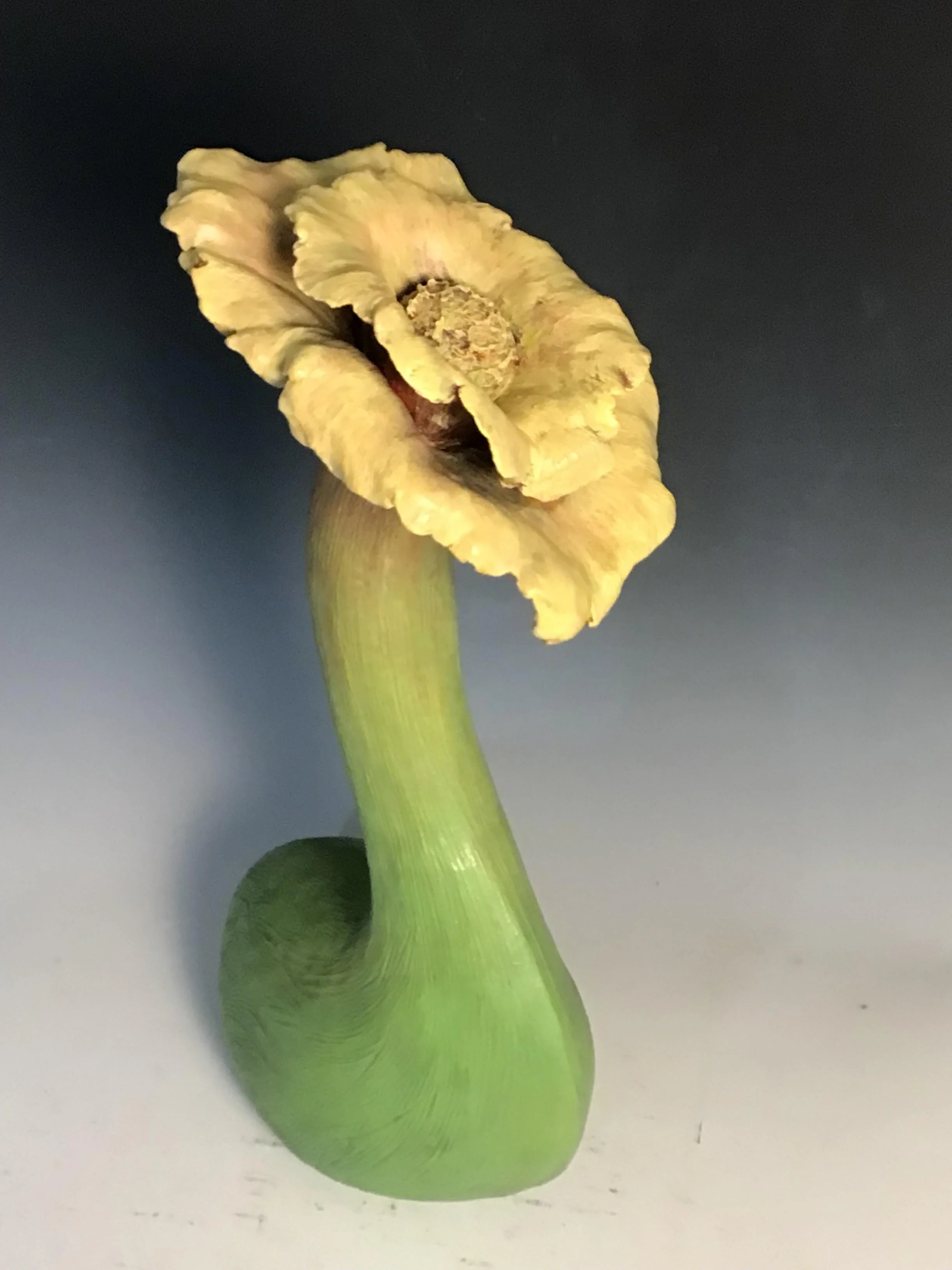 Schacht Gallery Shop — Saratoga Clay Arts Center