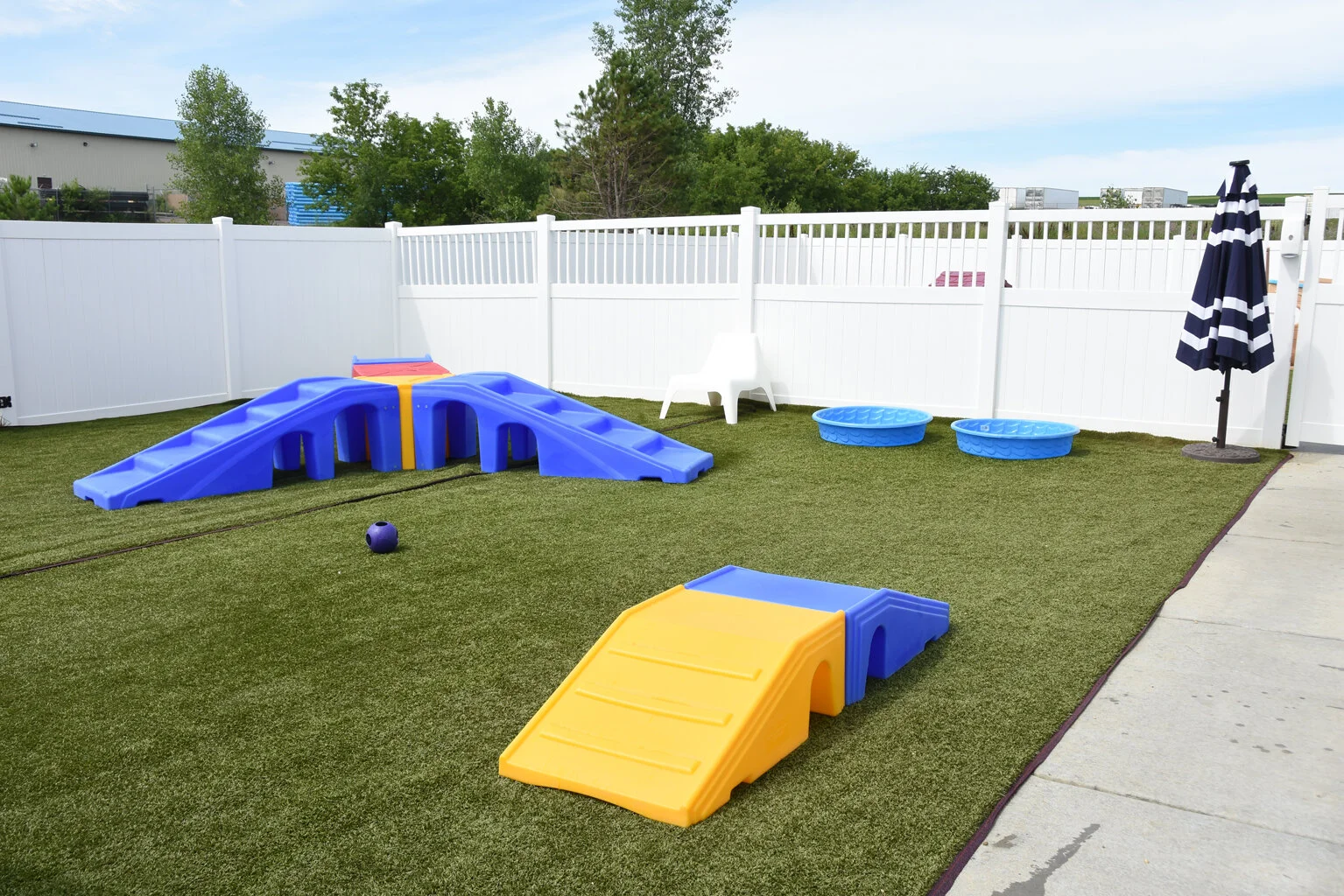 Our Facility — Your Dog's Gym