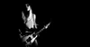 Tiffany Christopher | Official Website