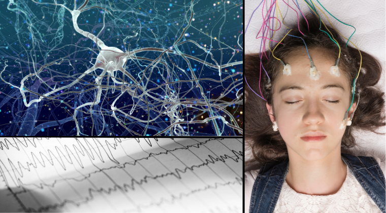 Clinical Manuals — Successful Practitioner