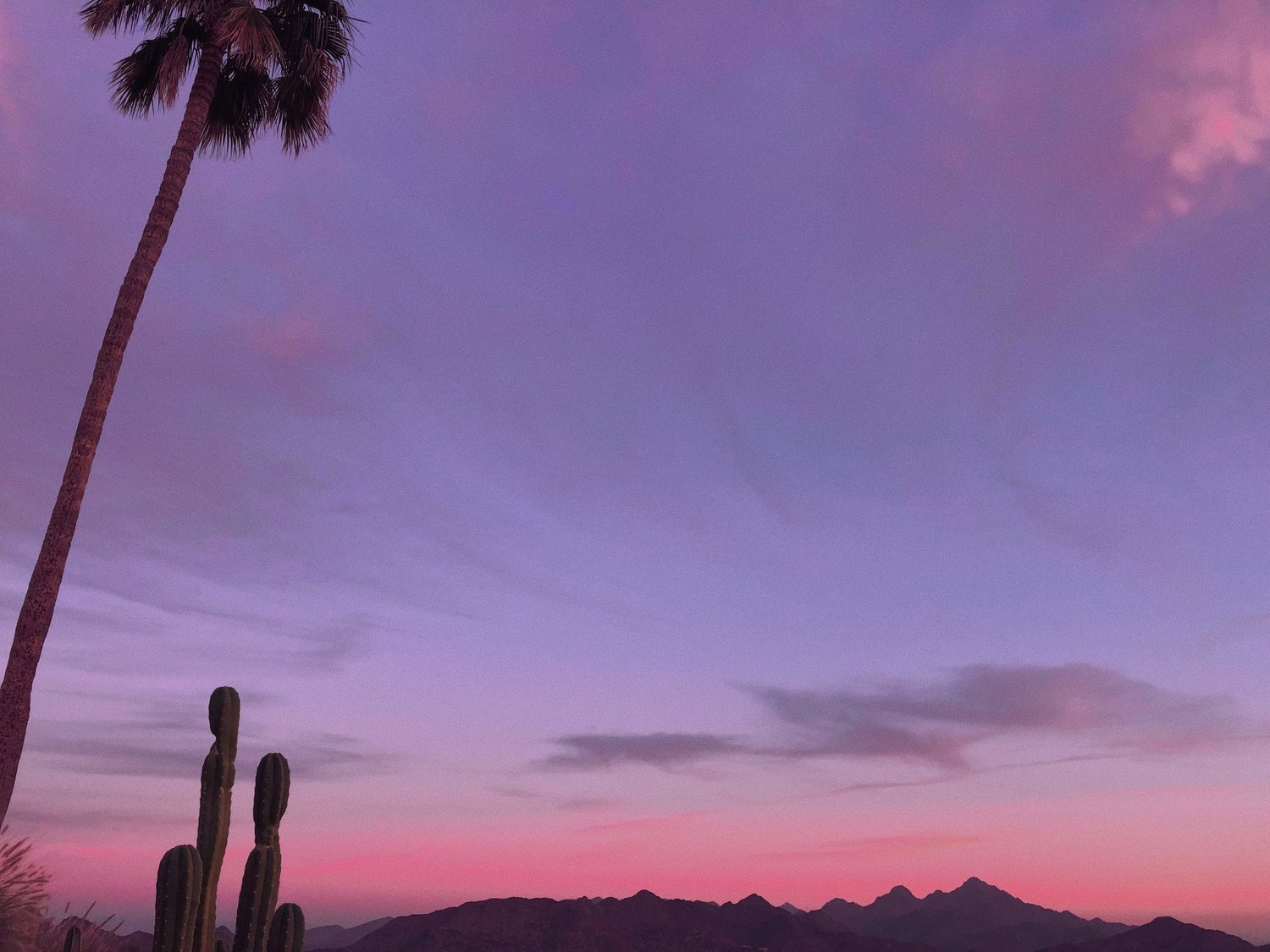 Different Pointe of View Restaurant - Phoenix, AZ — tastebuds & travel
