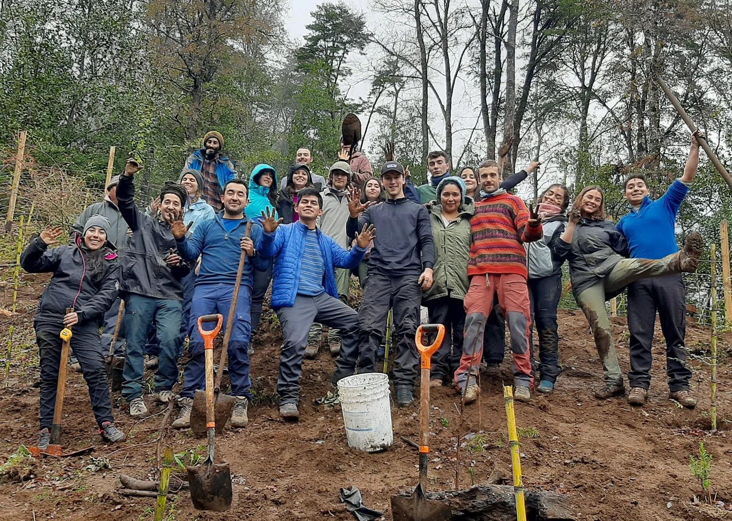 Reforestation and carbon footprint reduction | Chile Montaña