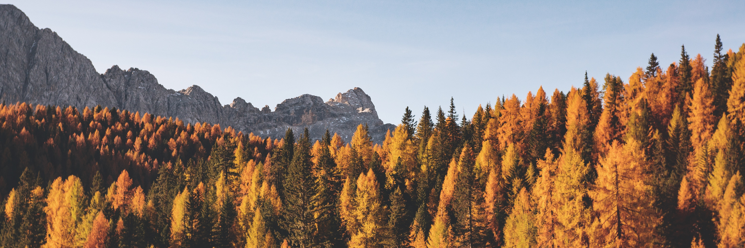Fall Equinox Rituals for Holistic Wellness — Savannah Bleue | Holistic ...