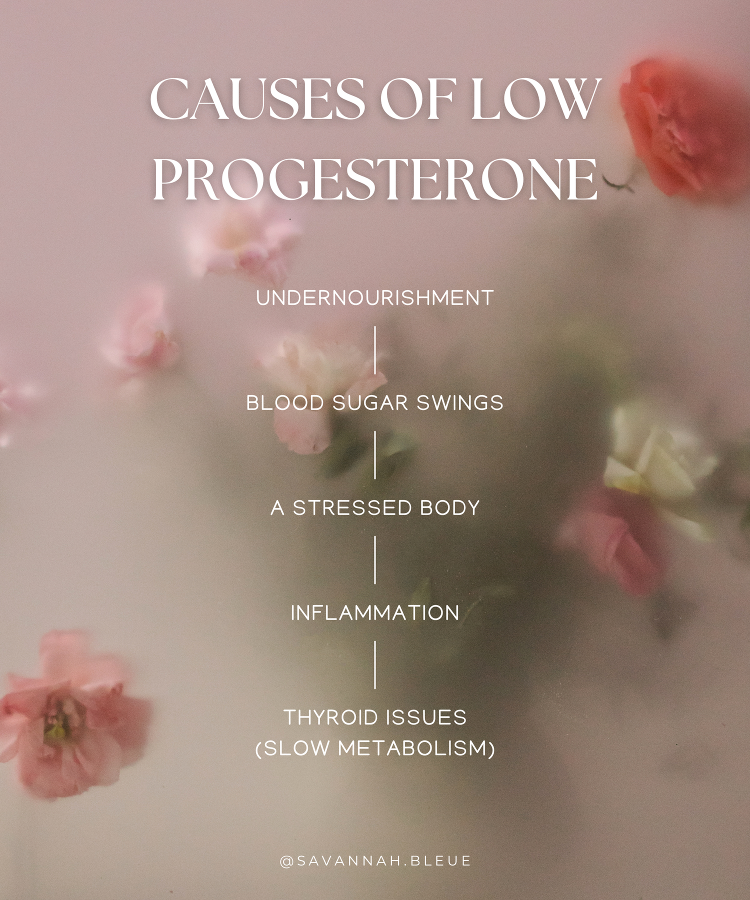 How to Increase Increase Progesterone Levels Naturally from Hormone ...
