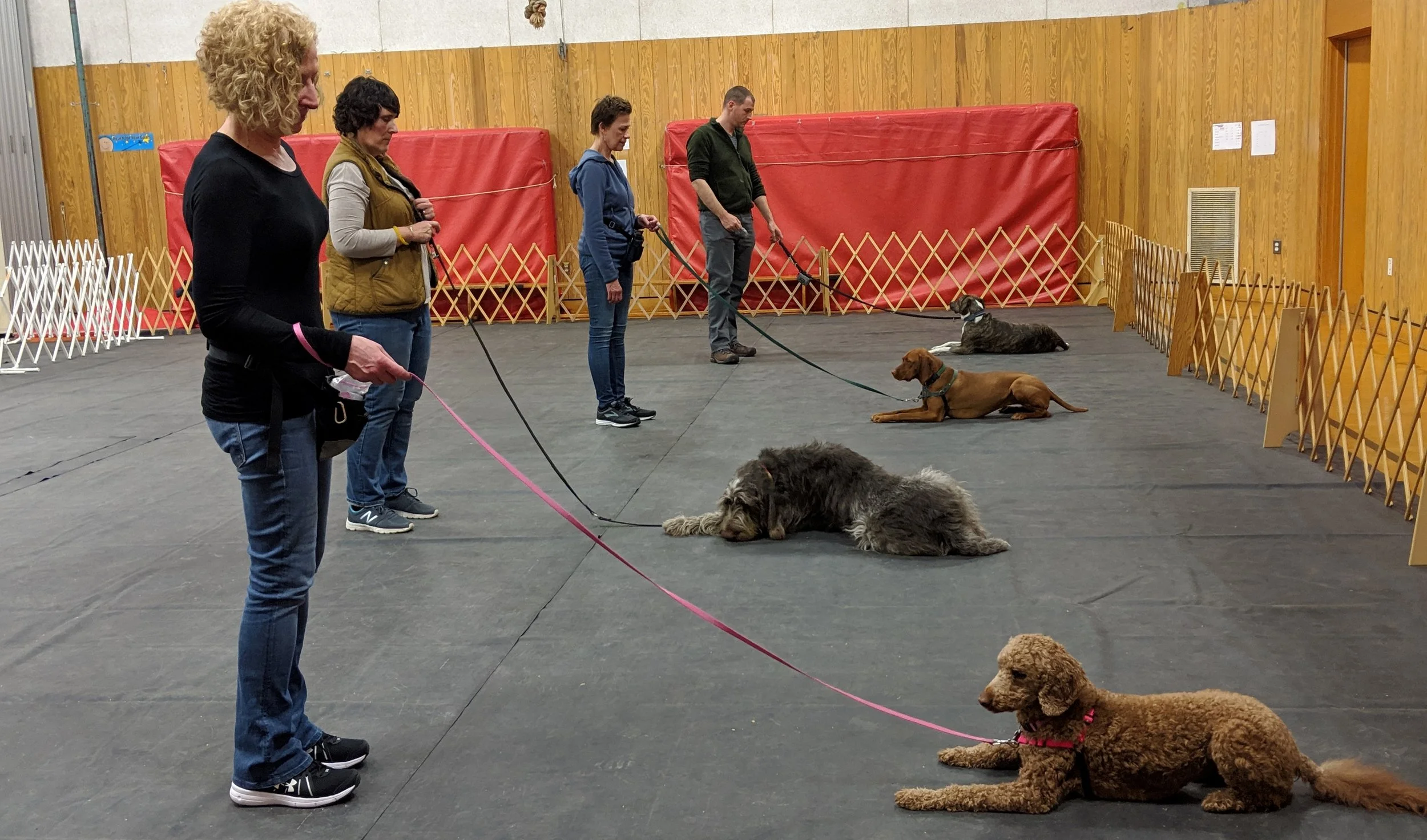 New England Dog Training Club