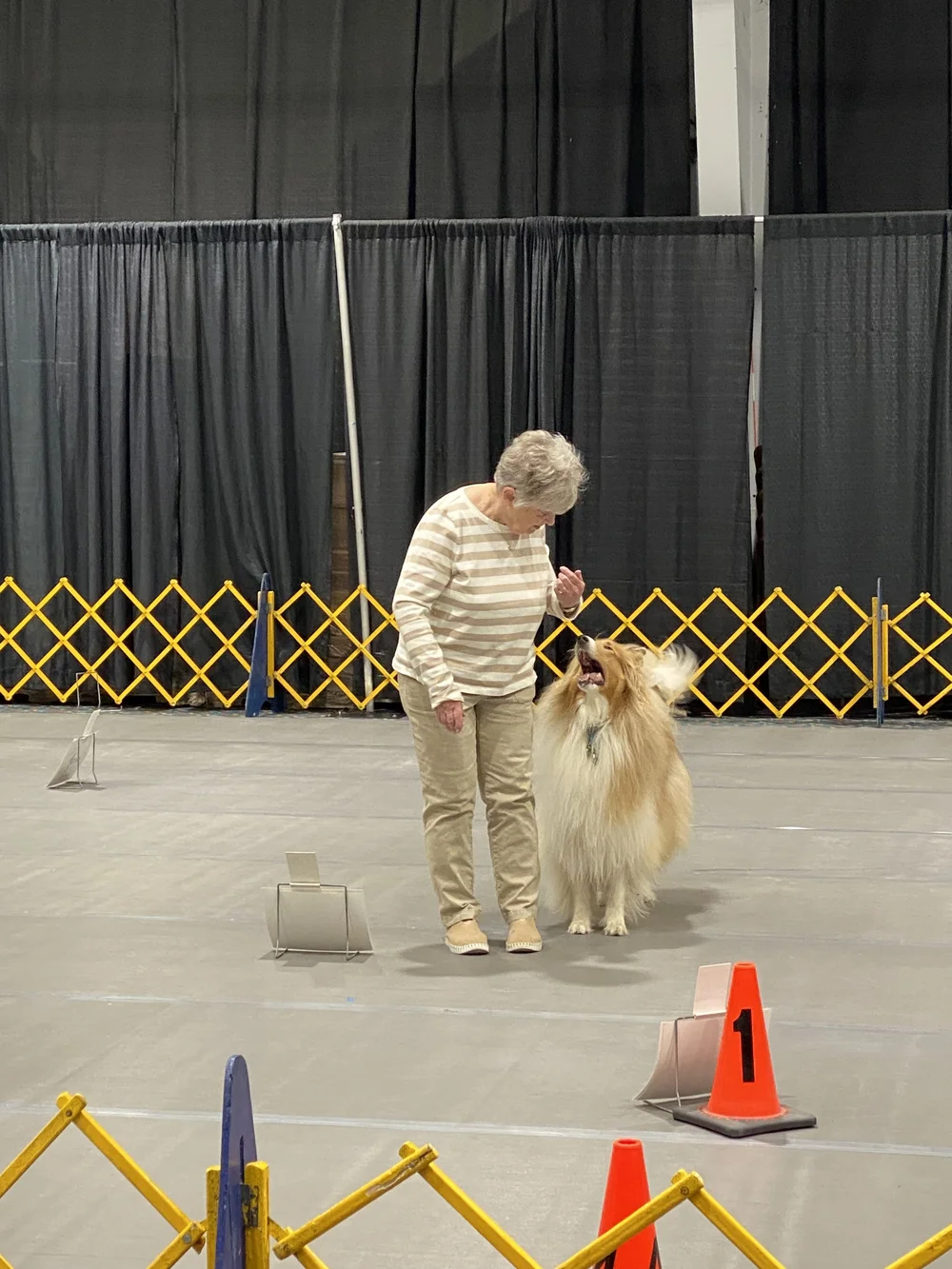 New England Dog Training Club