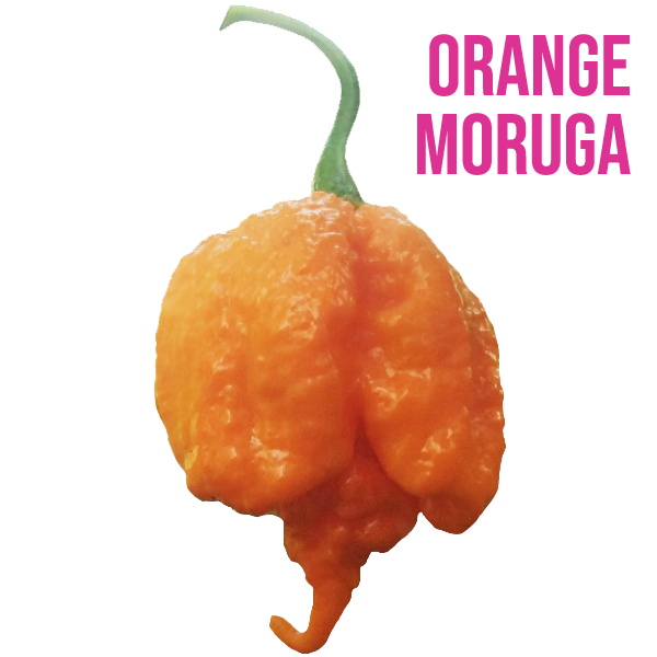 Monster — Monster Peppers