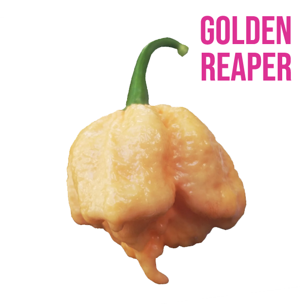 Monster — Monster Peppers