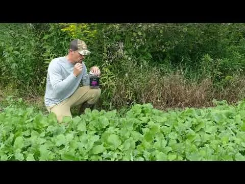 Domain Outdoor - Food Plots - Deer Food Plots