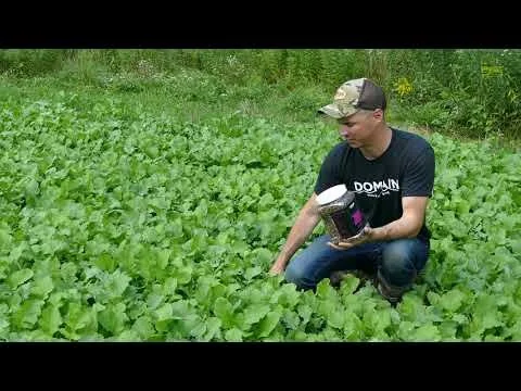 Domain Outdoor - Food Plots - Deer Food Plots
