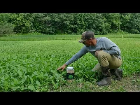 Domain Outdoor - Food Plots - Deer Food Plots