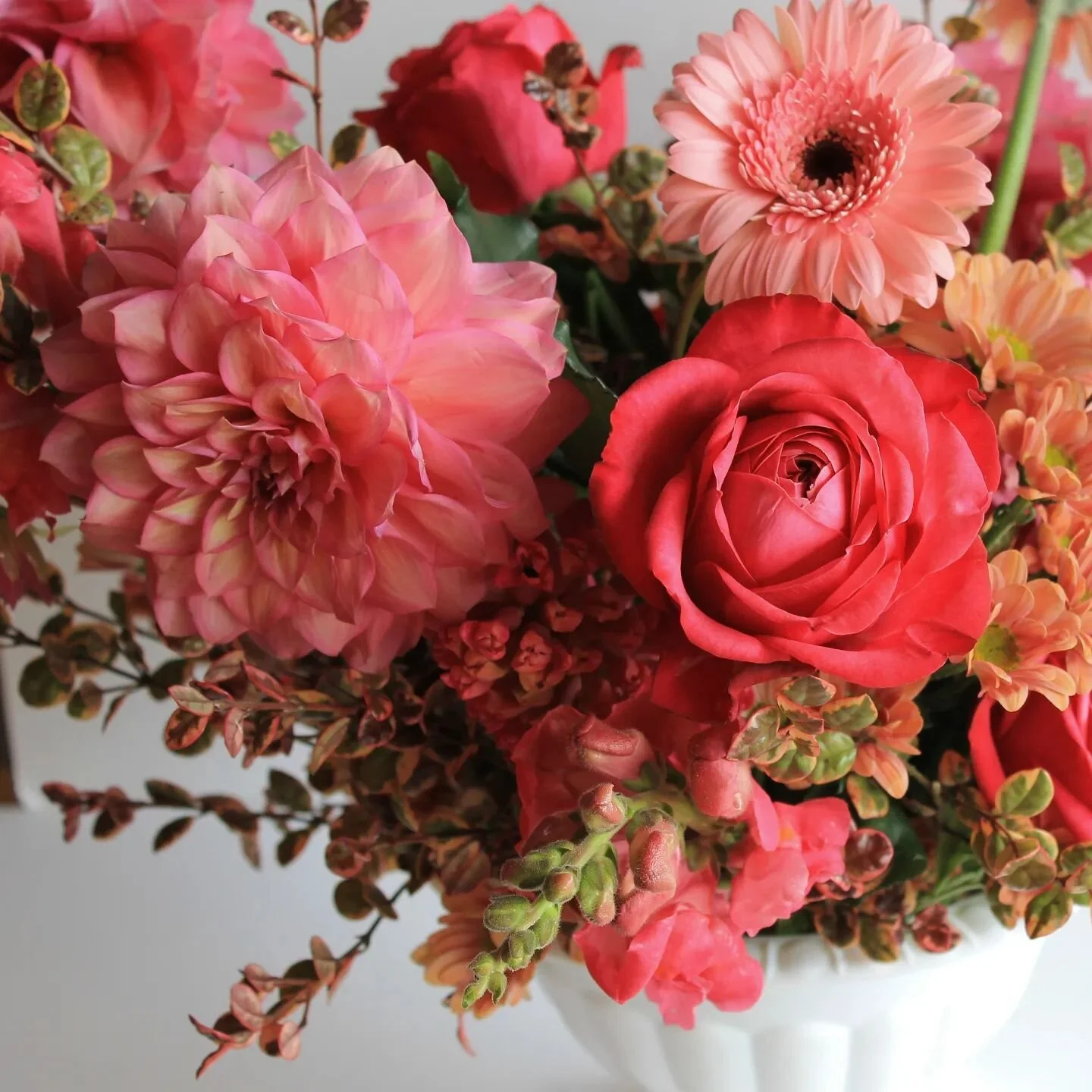 Flower Delivery | Caulfield Melbourne — The Doctors' Flowers