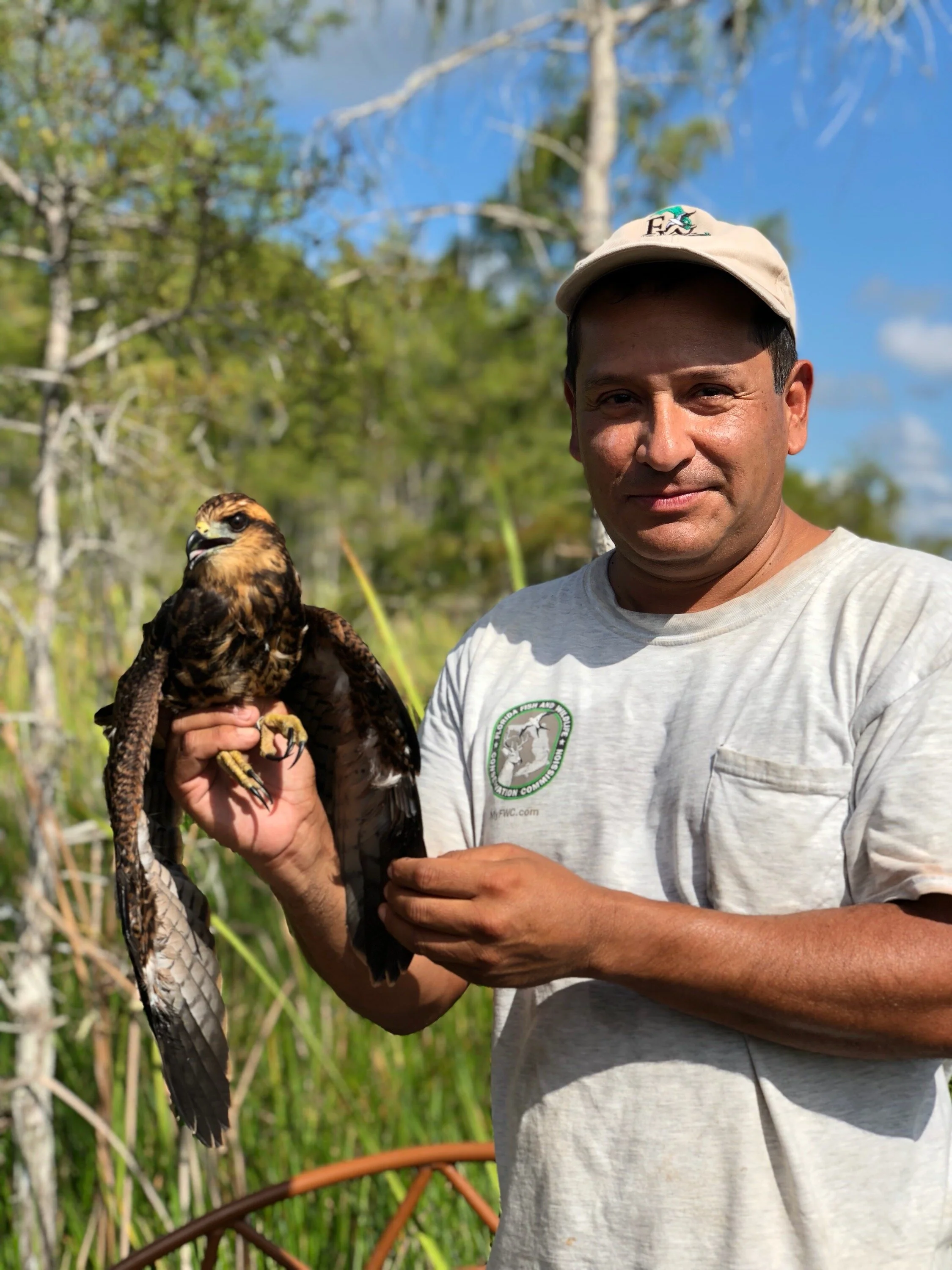 Projects — TCC FAEP