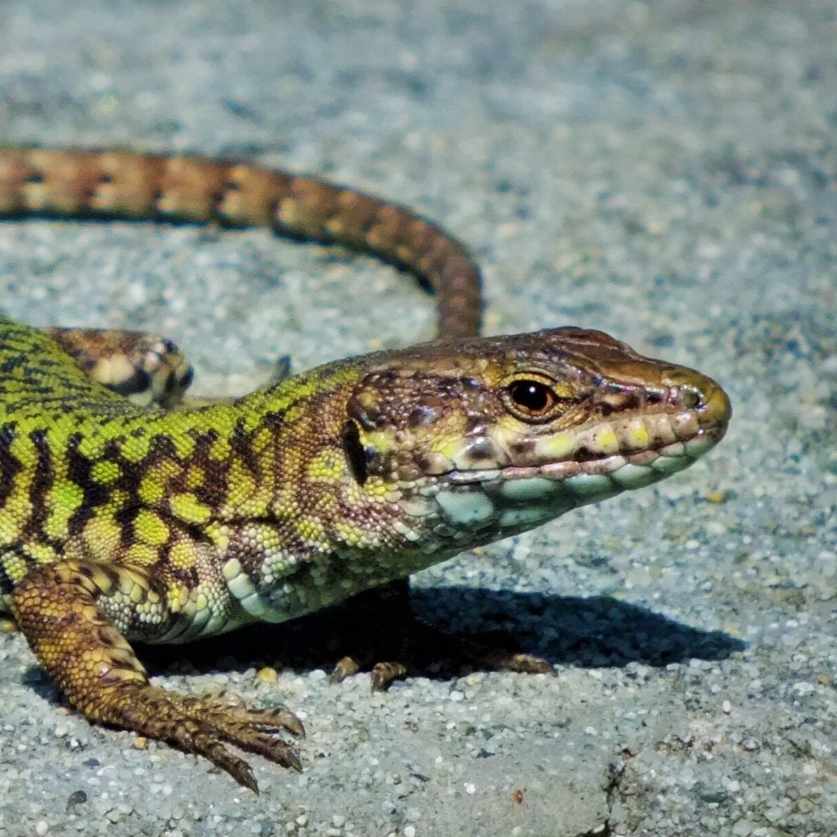 People — Sean T Giery