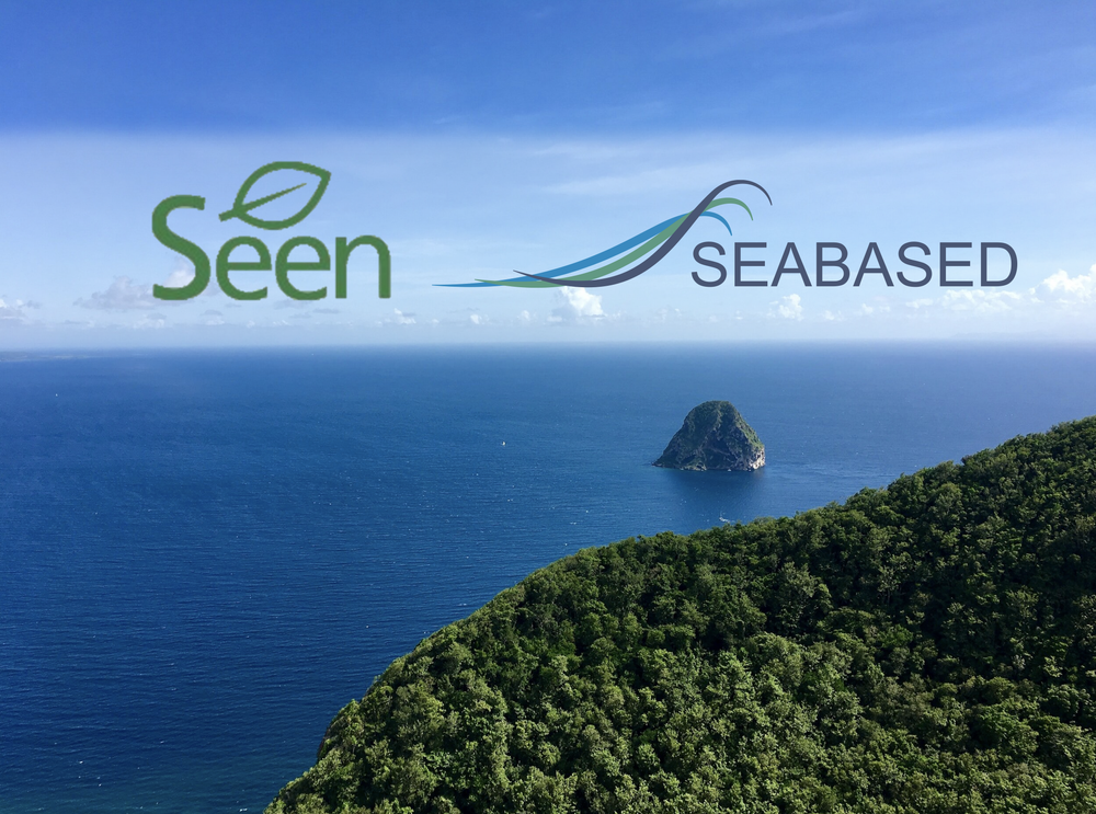 OUR PROJECTS — SEABASED
