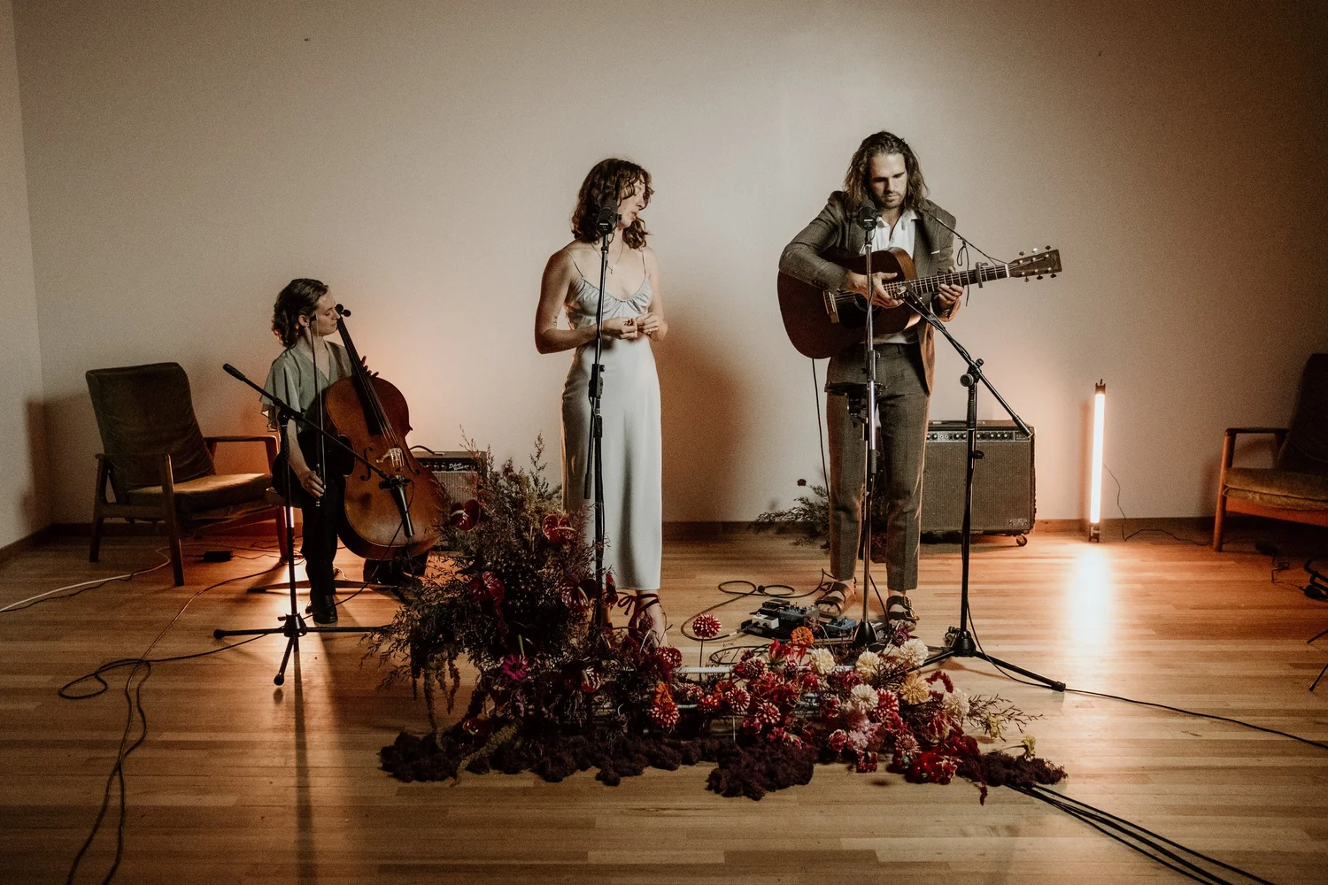 Packages — LITTLE WOLF