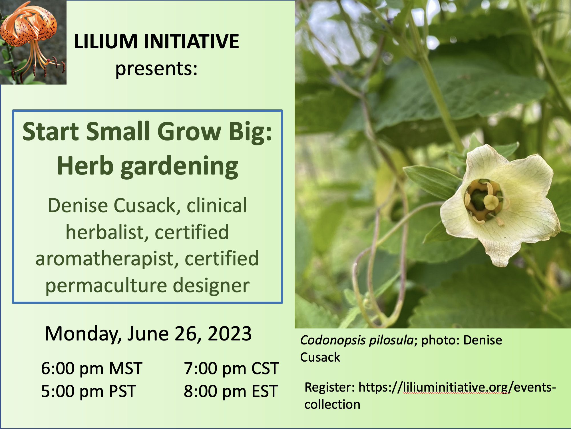 Start Small, Grow Big with Denise Cusack — Lilium Initiative