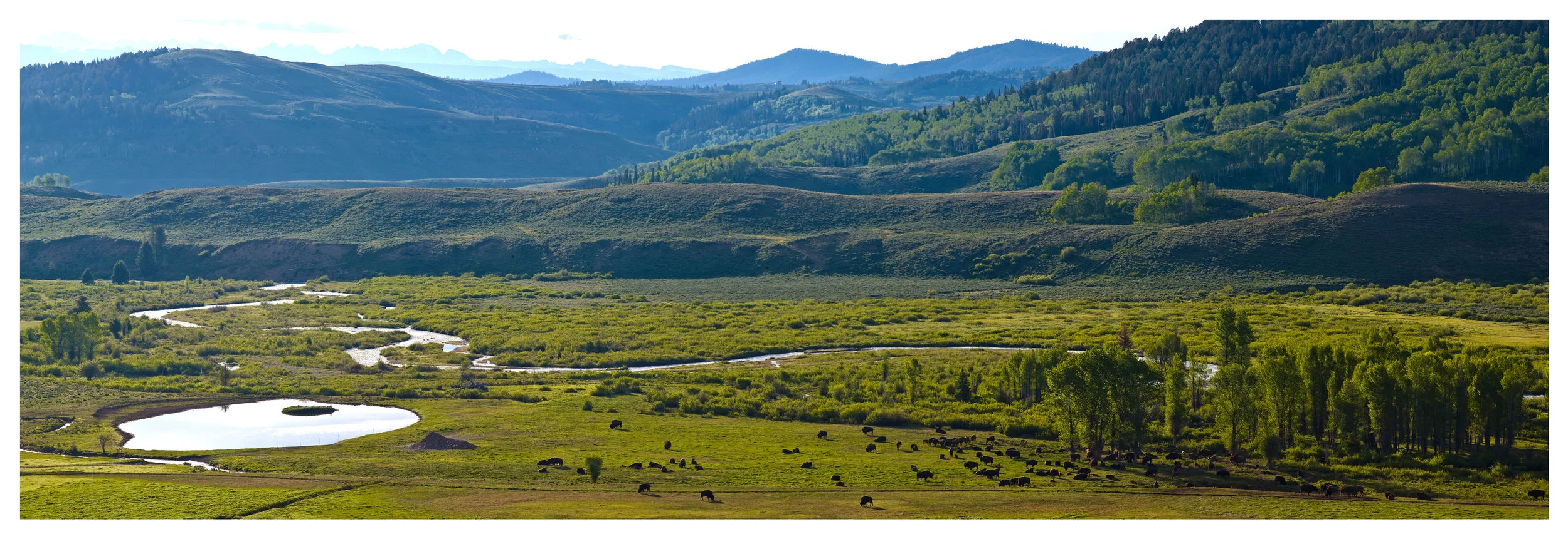 Hugo Specialty Foods