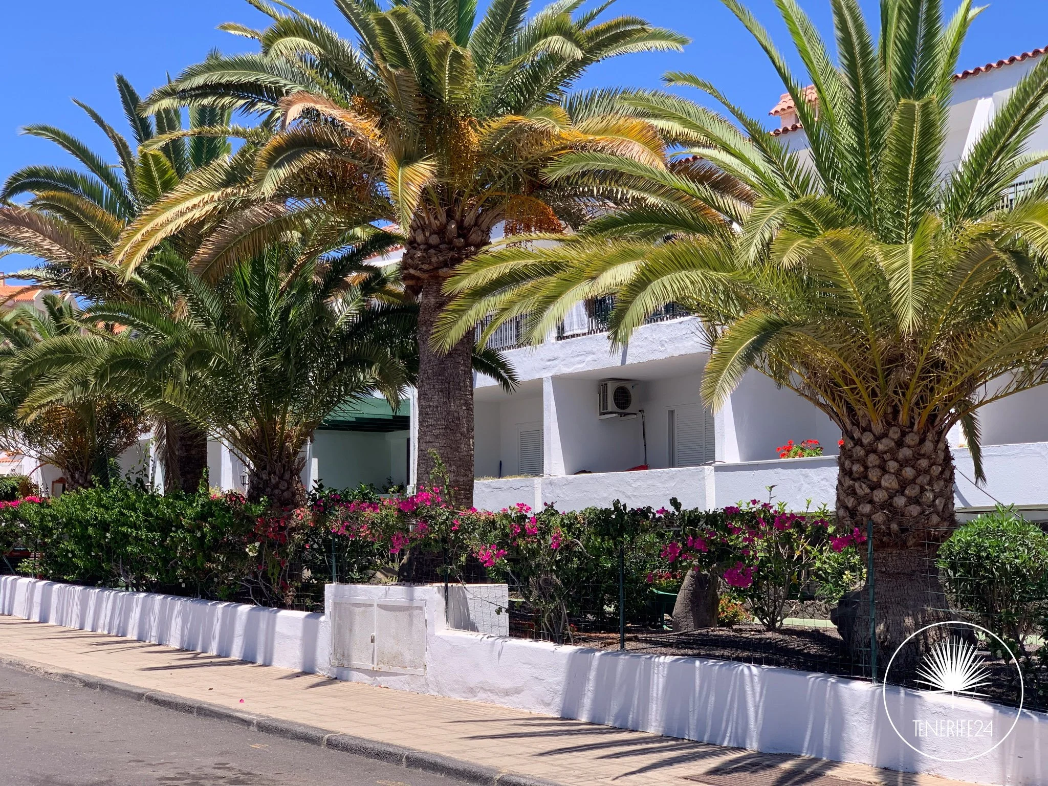 Kinnisvara Kanaari saartel – millist saart valida? — Tenerife