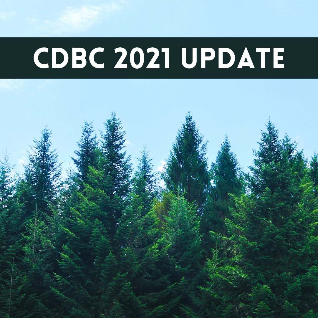 CDF | Diabetes Resources