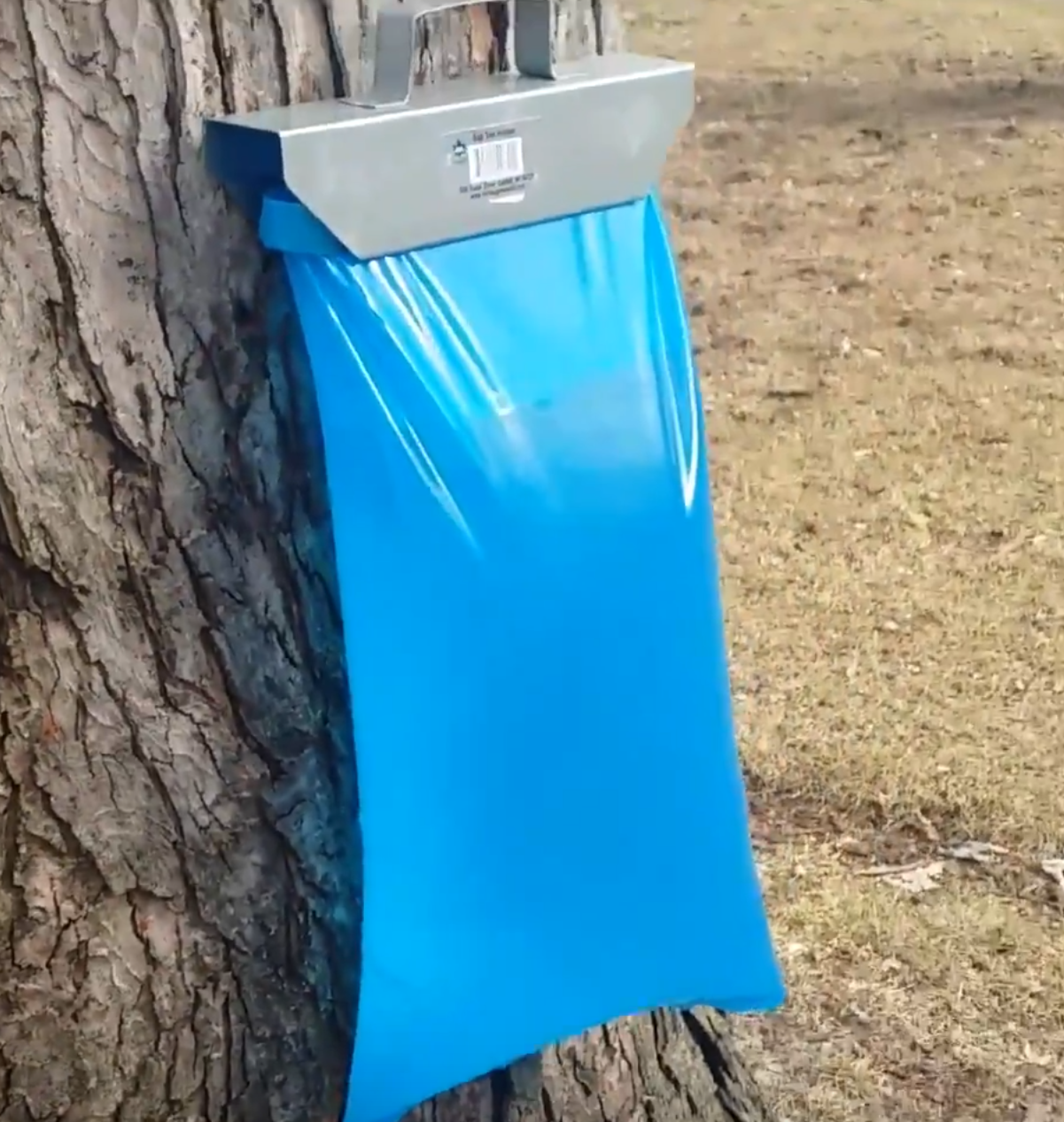 Equipment for Tapping Maple Trees — Honeymilk Homestead