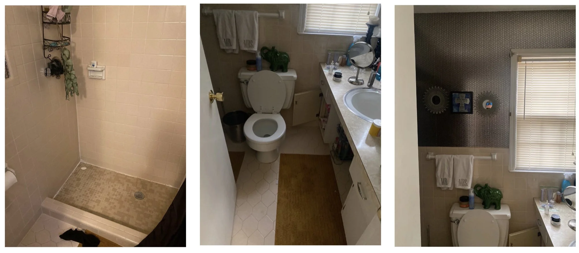 Project: No Show — CARMEON HAMILTON