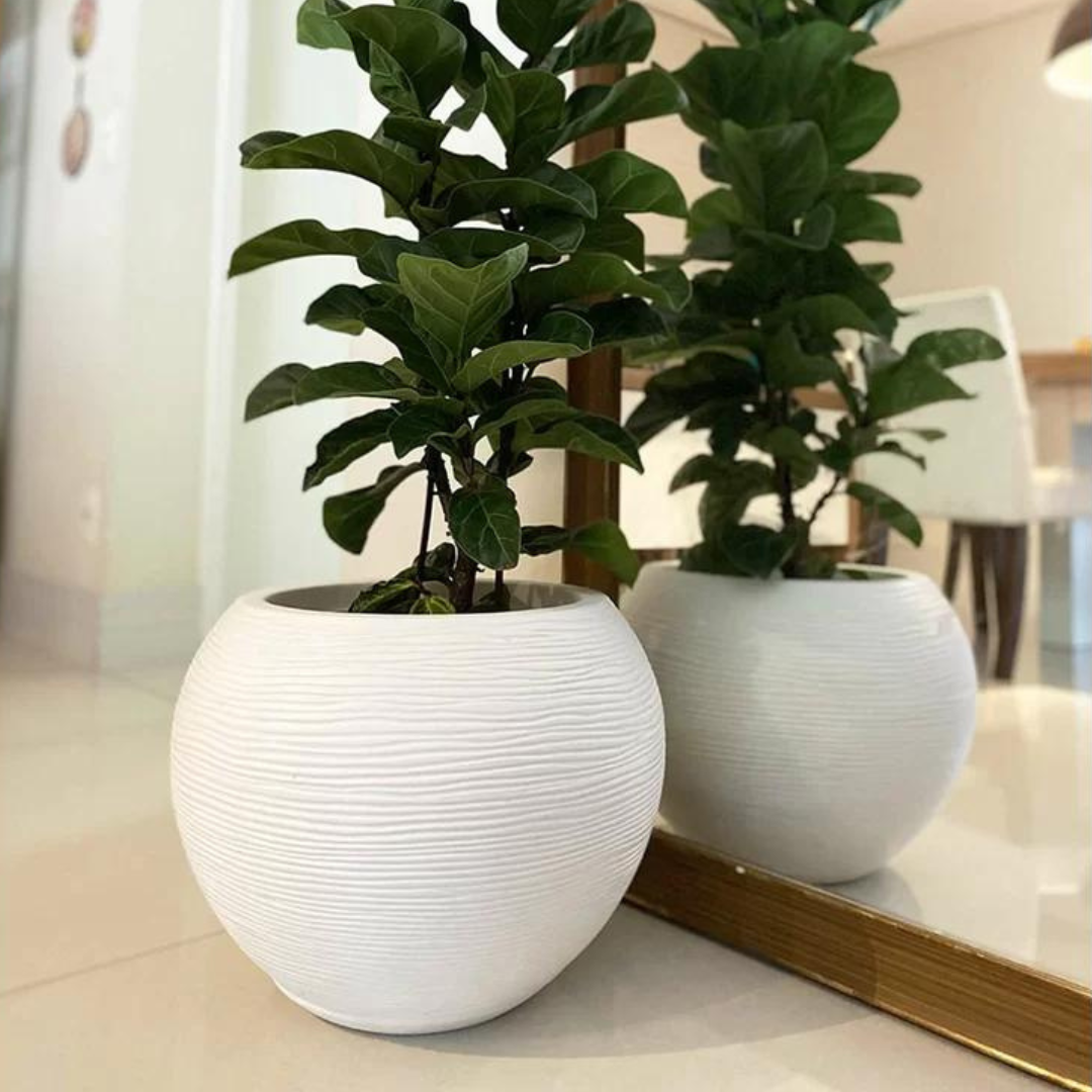 Stylish Planters To Decorate Your Space With — CARMEON HAMILTON