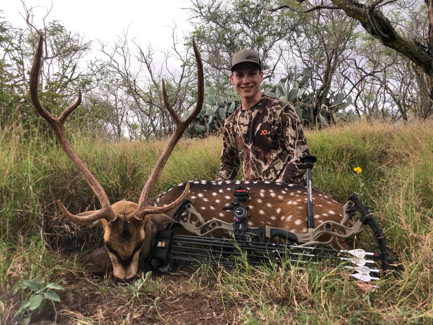 Axis Deer Archery — Maui Deer Hunting