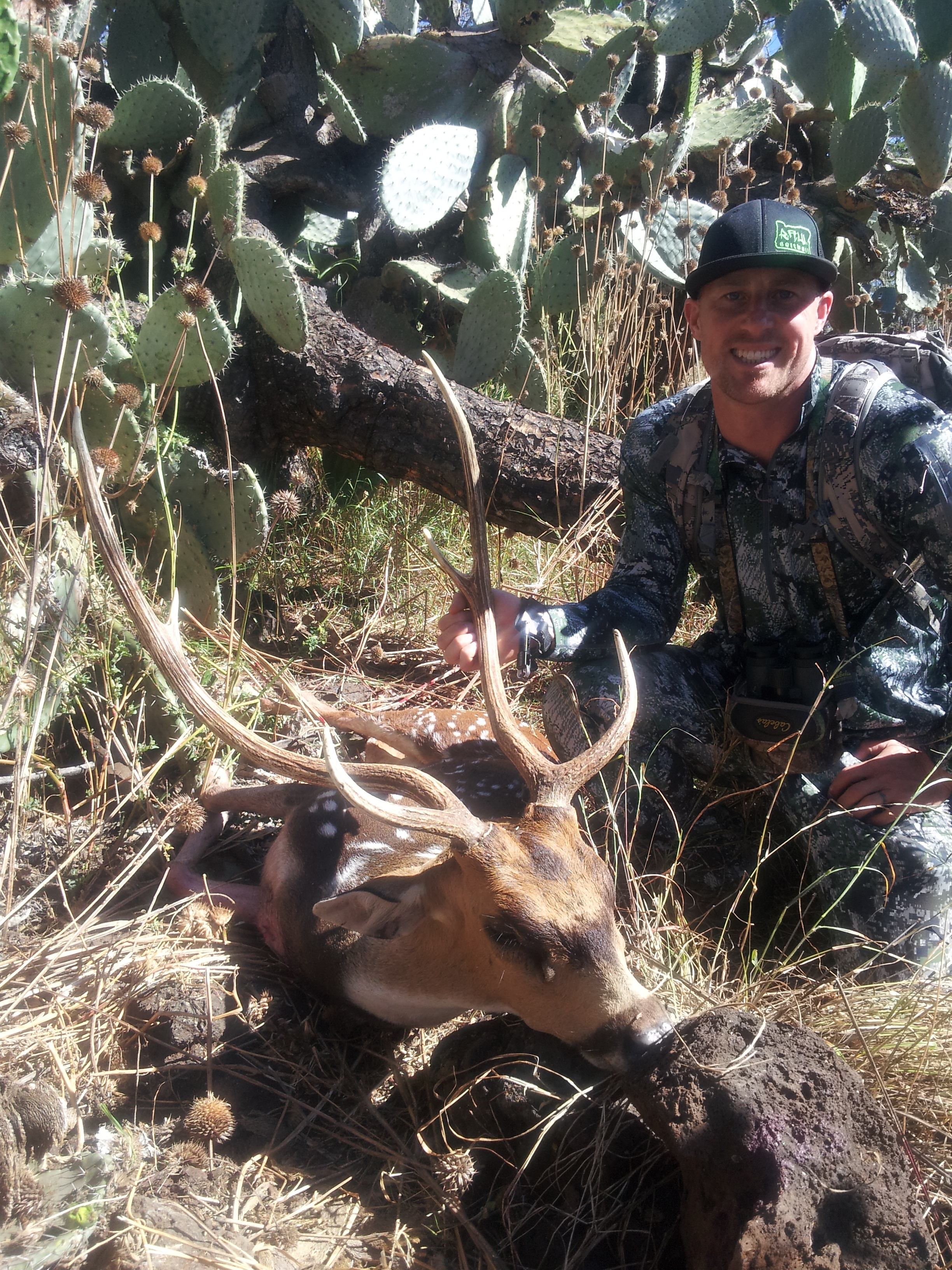 Axis Deer Archery — Maui Deer Hunting