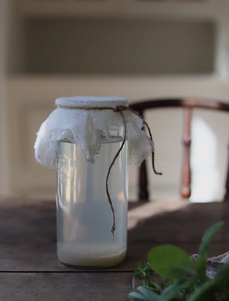 Water Kefir Three Ways — simply living well