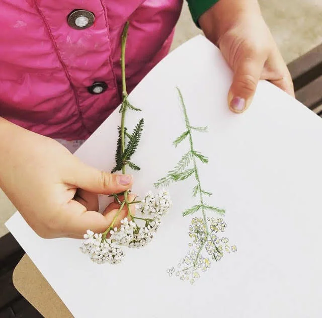 El Jardín — Lanterns Global- Learning Programs