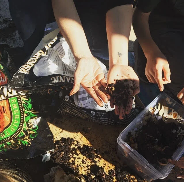 El Jardín — Lanterns Global- Learning Programs