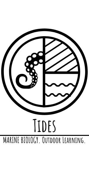 Tides — Lanterns Global- Learning Programs