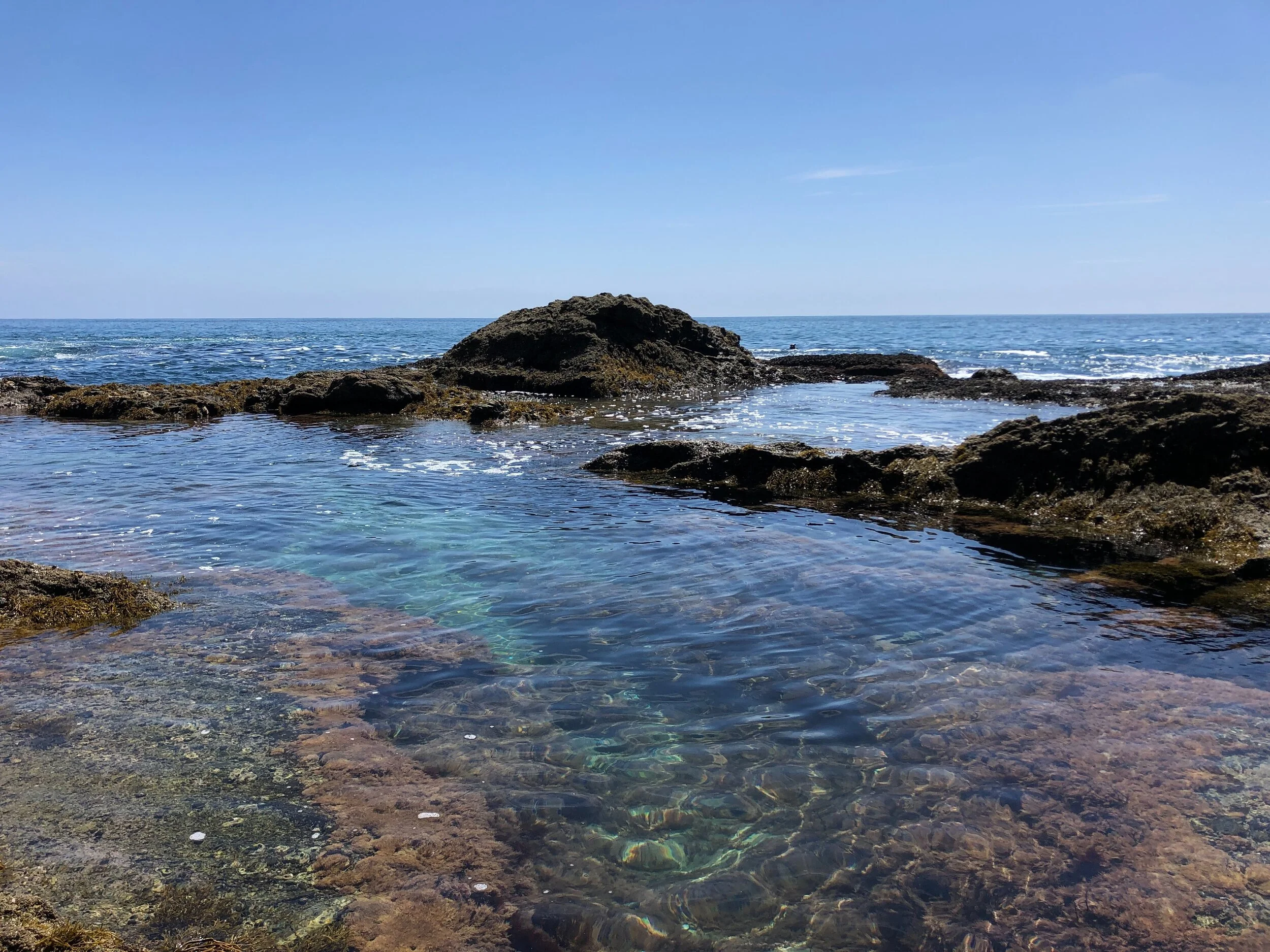 Tides — Lanterns Global- Learning Programs