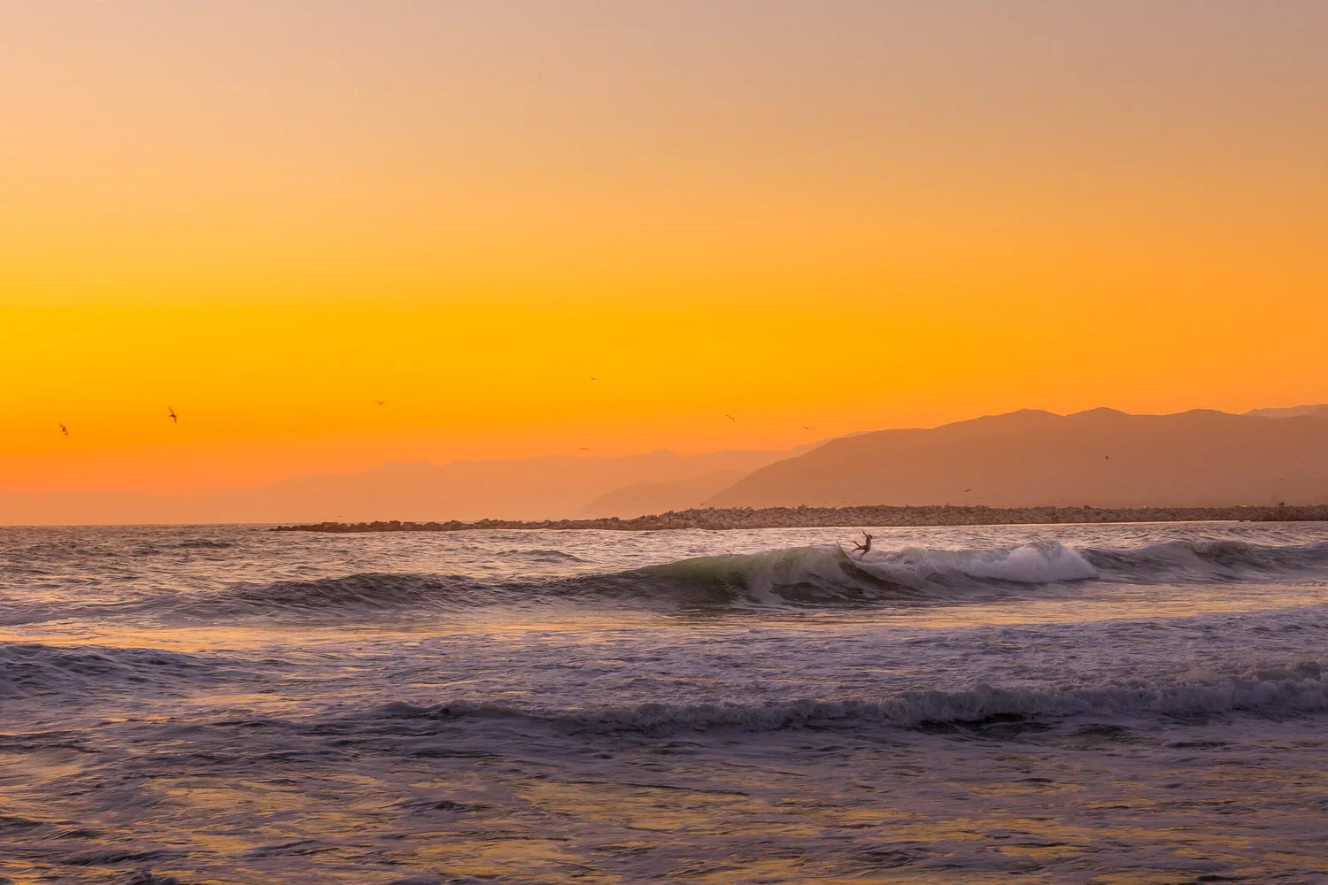 Tides — Lanterns Global- Learning Programs