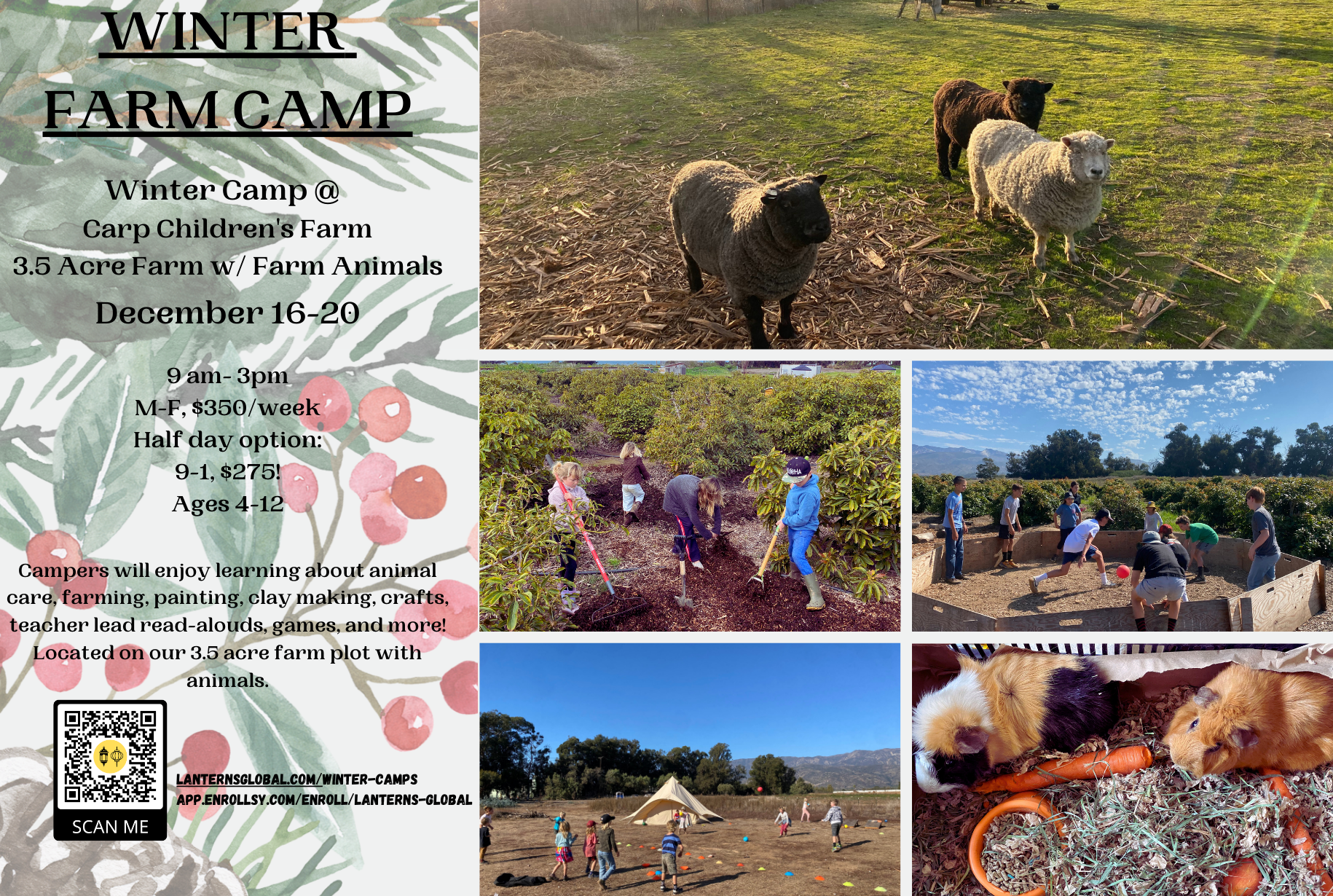 Winter Camps — Lanterns Global- Learning Programs