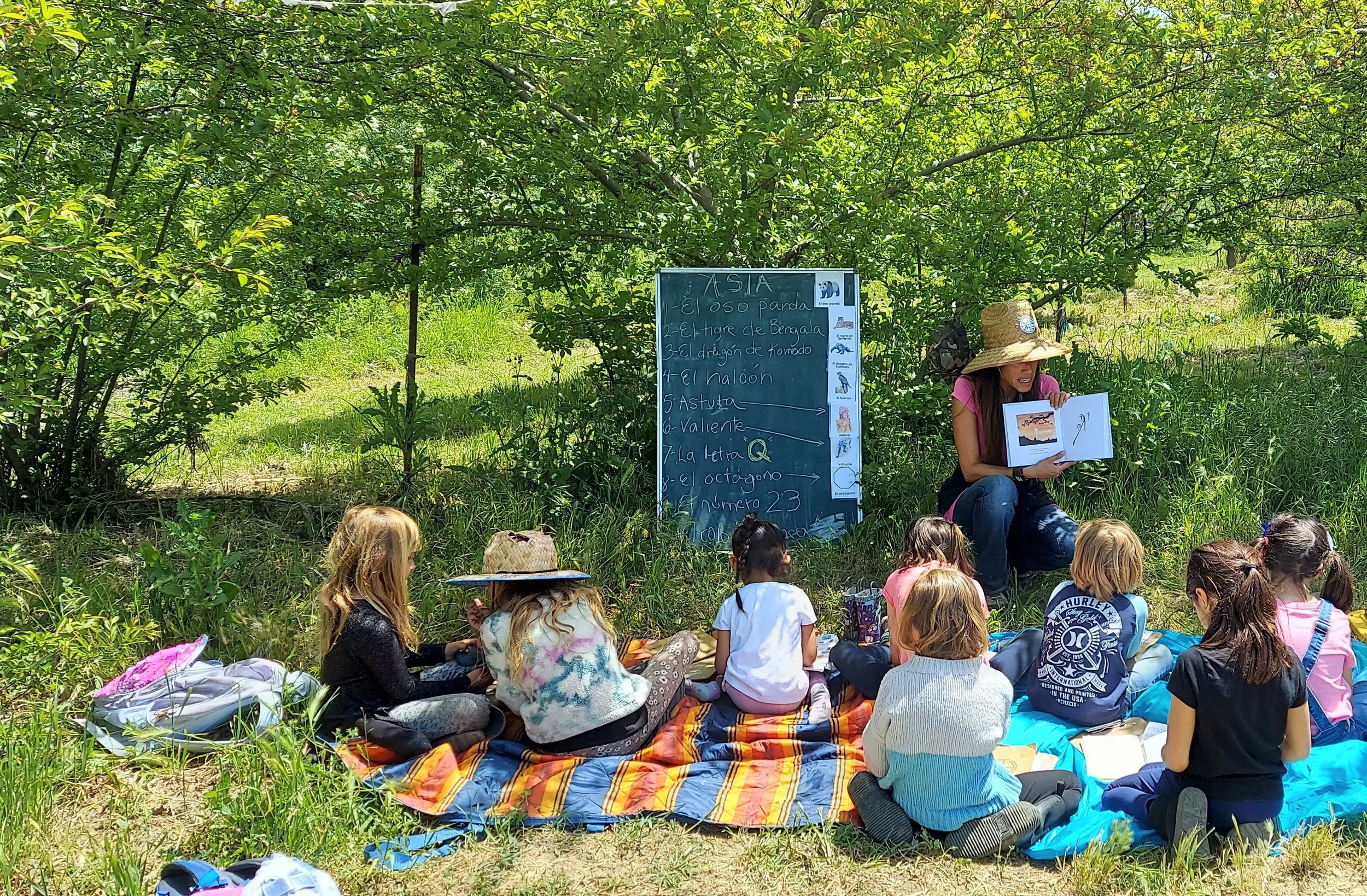 Reviews — Lanterns Global- Learning Programs