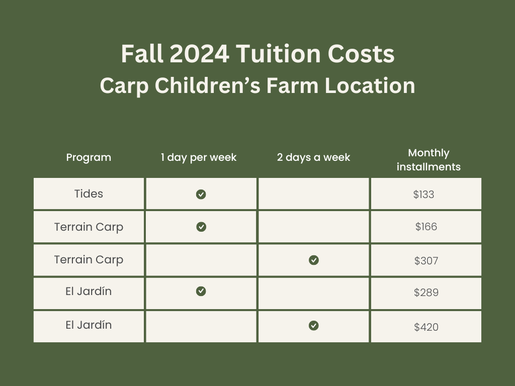 Tuition — Lanterns Global- Learning Programs