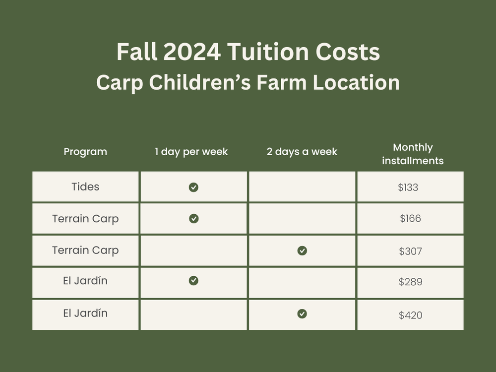 Tuition — Lanterns Global- Learning Programs