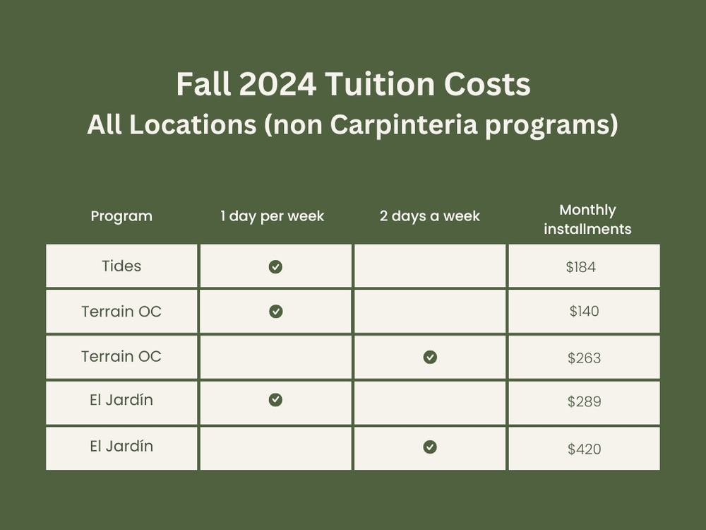 Tuition — Lanterns Global- Learning Programs