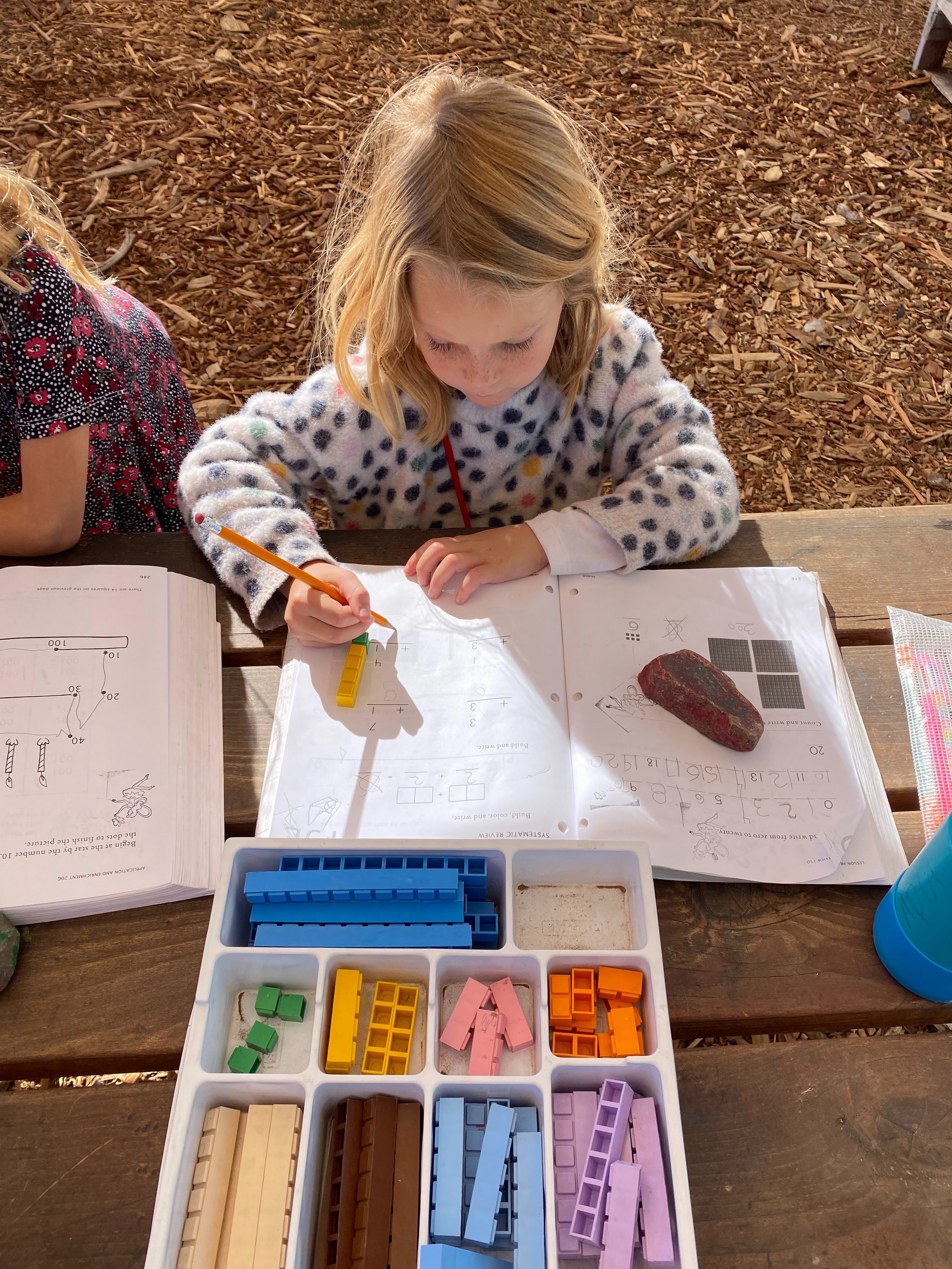 Farm to Table SLO — Lanterns Global- Learning Programs